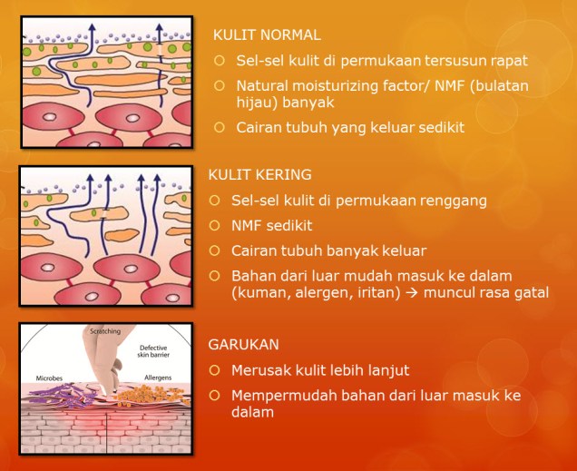 Kulit normal VS kulit kering – Rahasia Kulit Anda